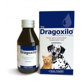 Dragoxilo Suspension Oral (Cefadroxilo) – Farmacia Veterinaria
